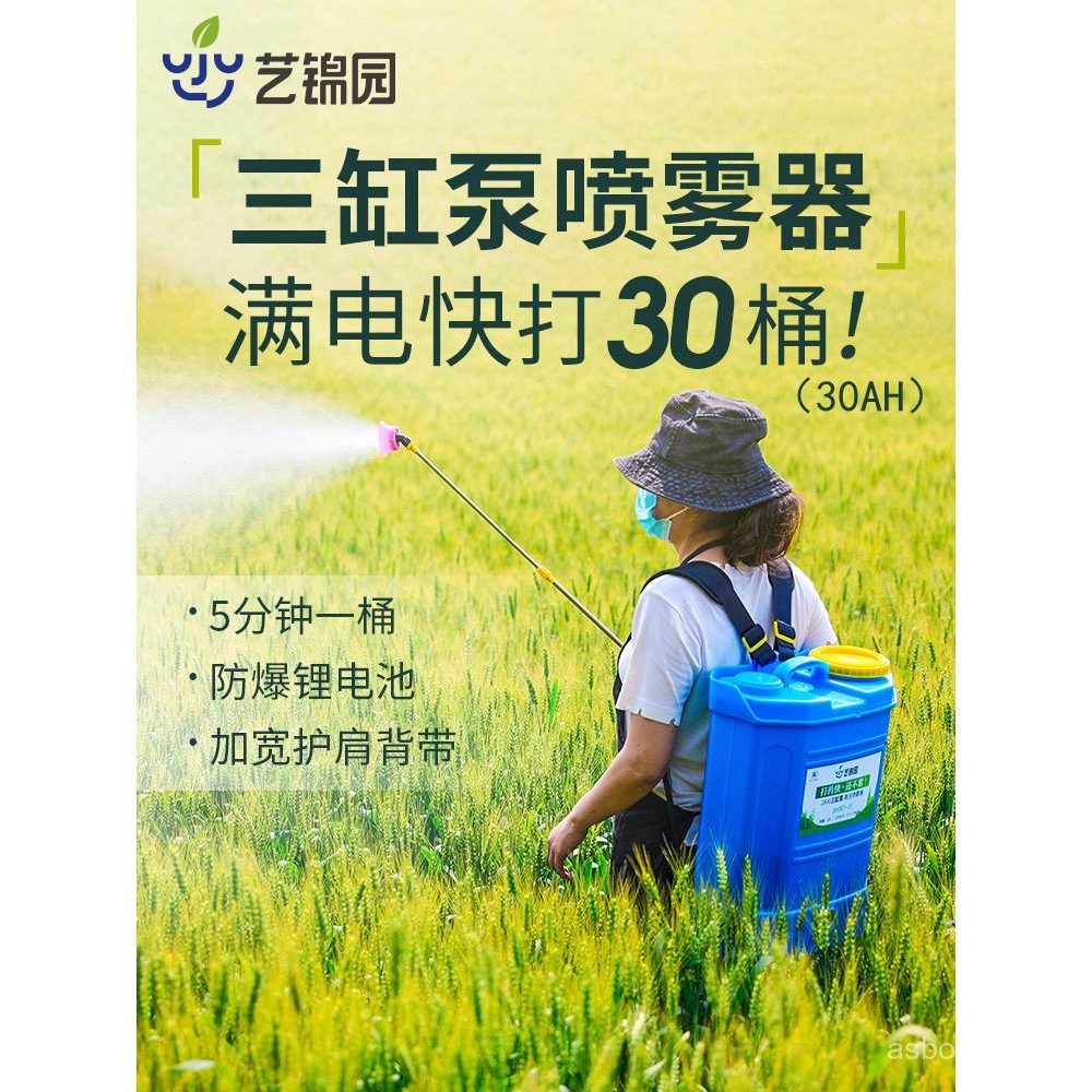 Electric Sprayer Backpack Three-Cylinder Pump High Pressure12v New ...