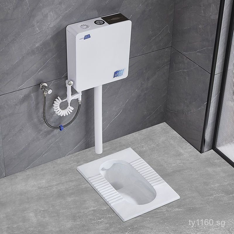 Toilet Squatting Pan Large Toilet Squatting Pit Deodorant Complete Set ...