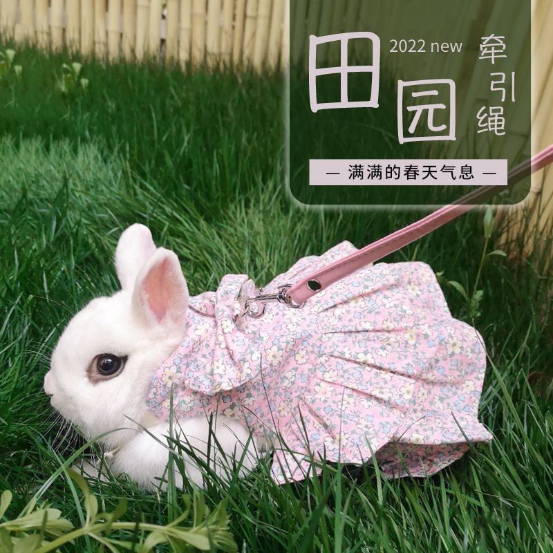 Pet Rabbit Clothes Leash Rabbit Kitten Cat Lop-Eared Rabbit Clothes ...