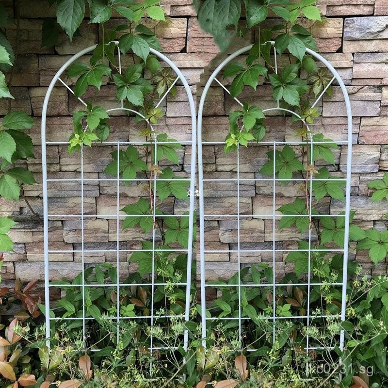 Clematis Plant Support Frame Flower Support Frame Climbing Frame Rose ...