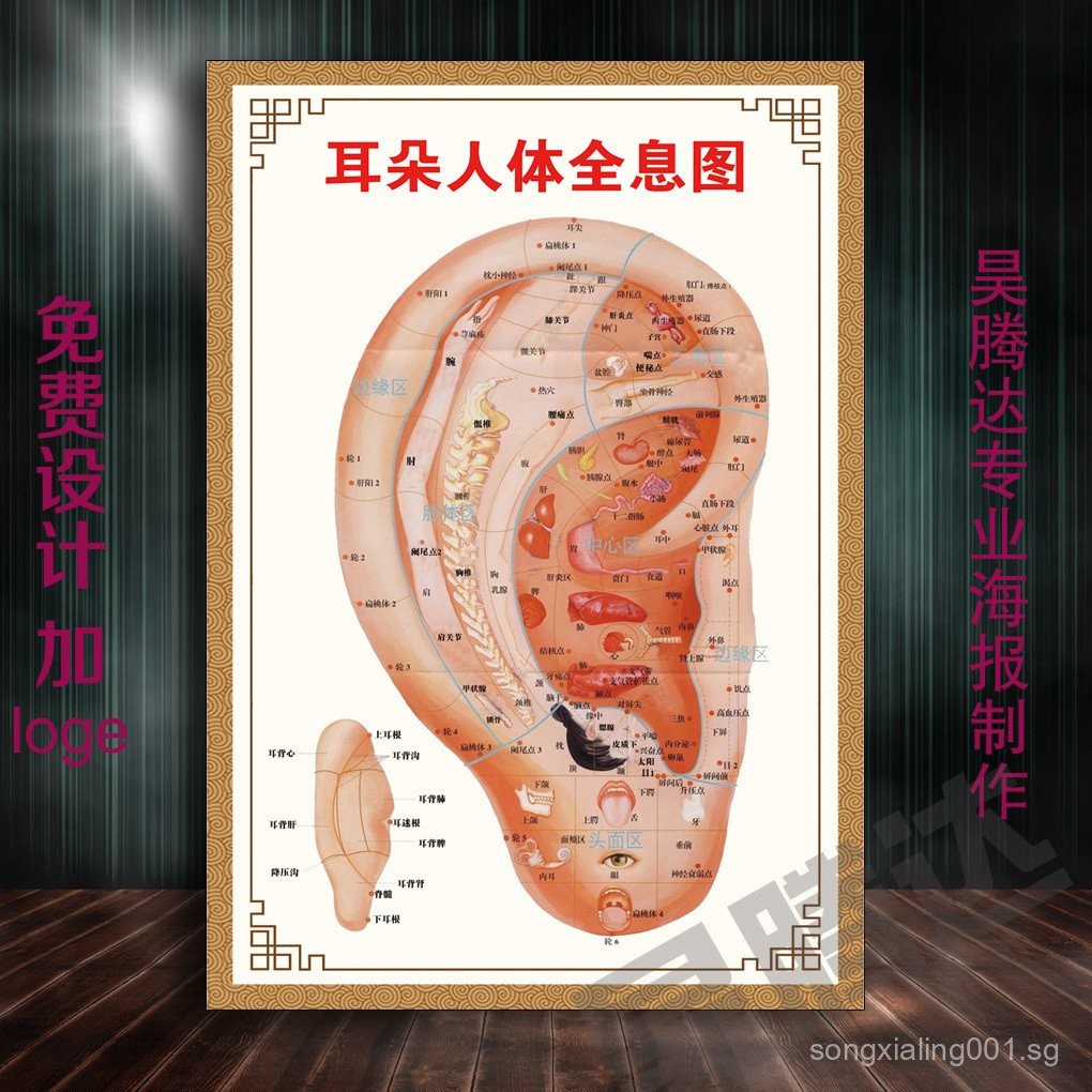 Auricular Points Wall Chart Ear Acupoint Map Main and Collateral ...