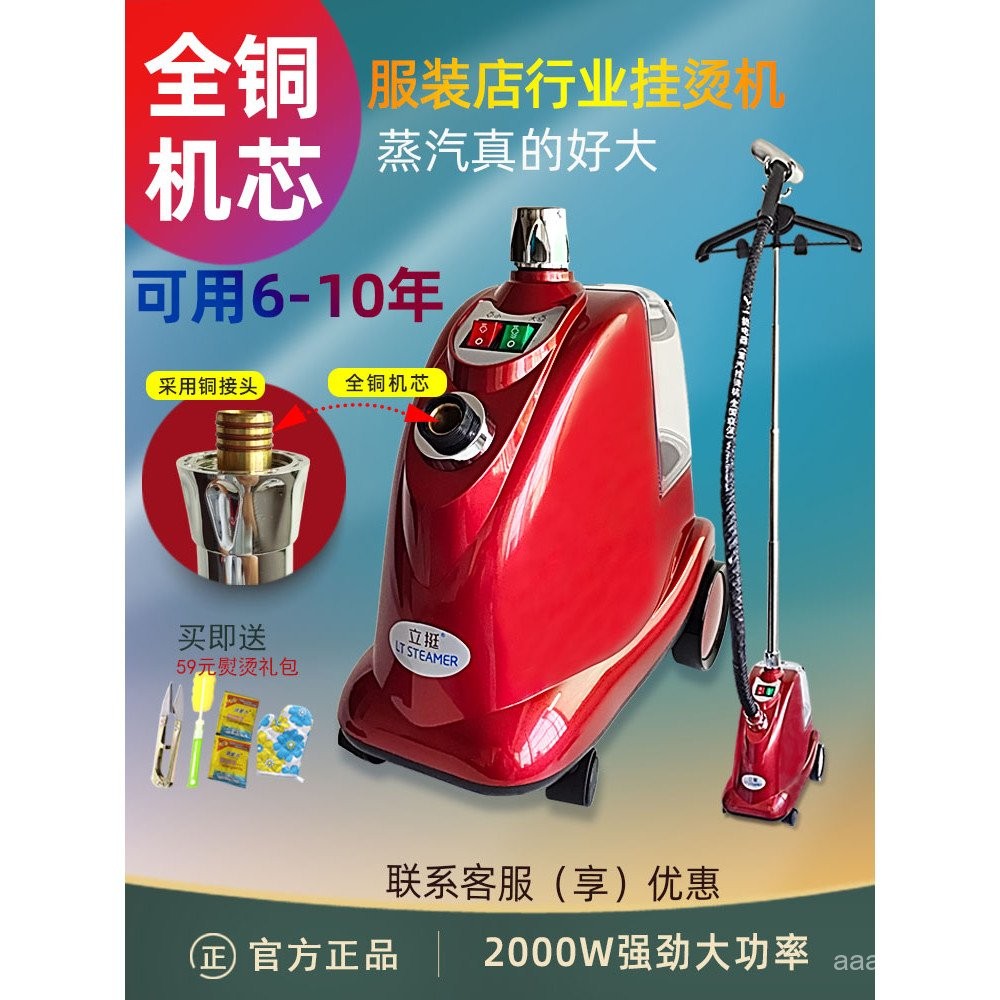 Shanghai Liting Garment Steamer Steam Iron for Home Use Clothing Store ...
