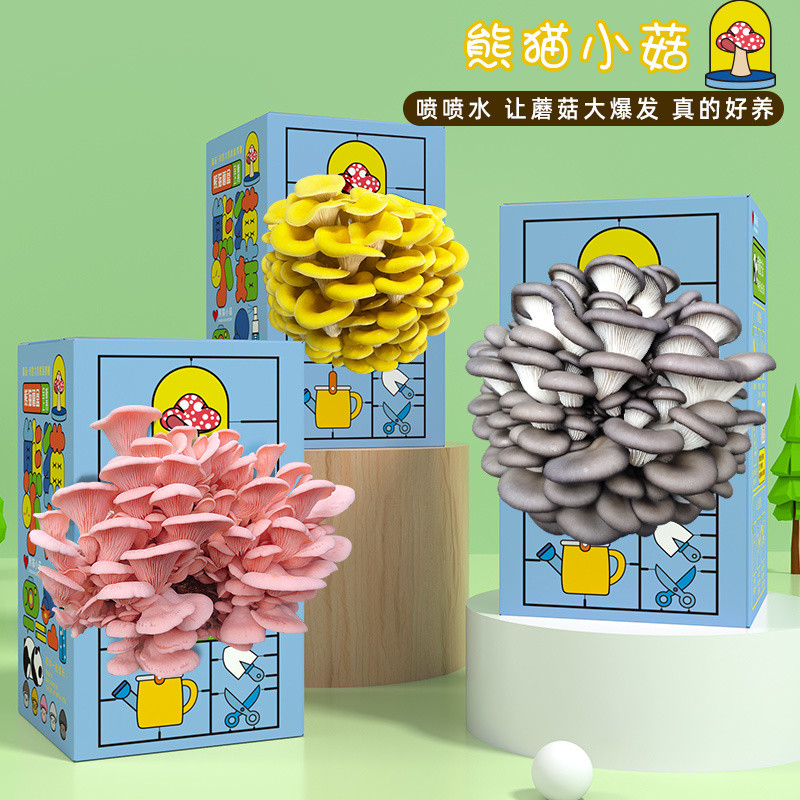 [1HTK]Mushroom Box Gift Set Oyster Mushroom Growing Kit Edible Fungi ...