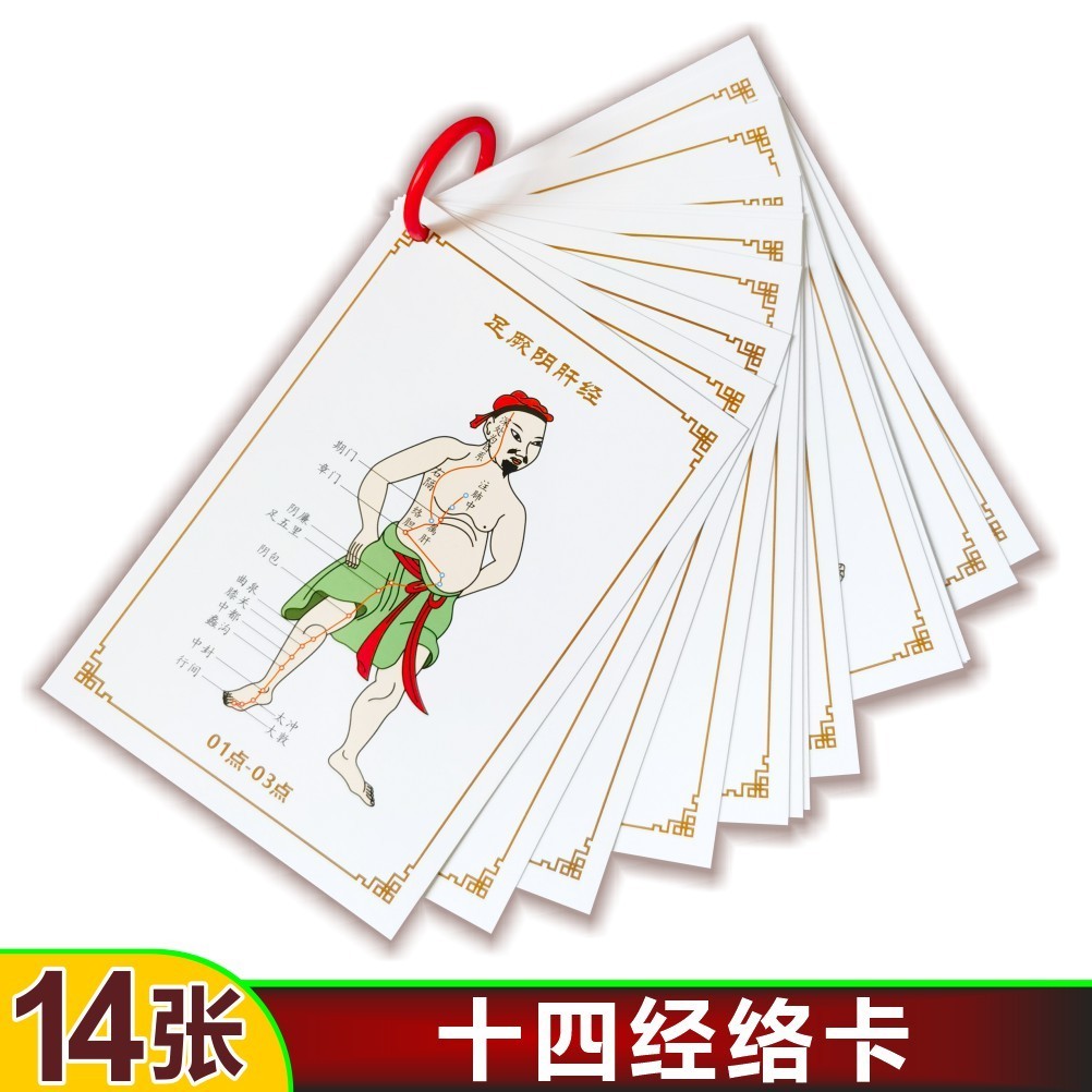 Traditional Chinese Medicine Fourteen Meridian Cards Human Body ...