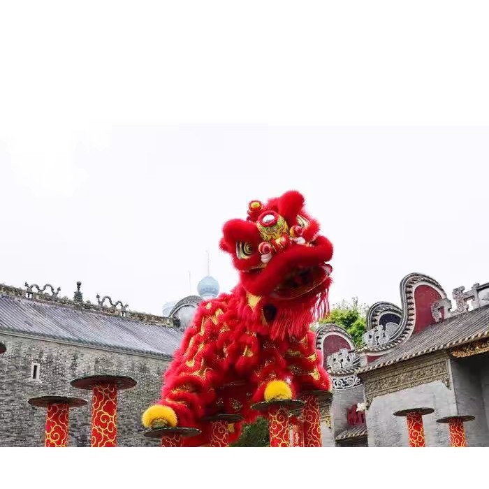 Southern Lion Awakening Lion Dance Props Full Set Dragon Dance Lion ...