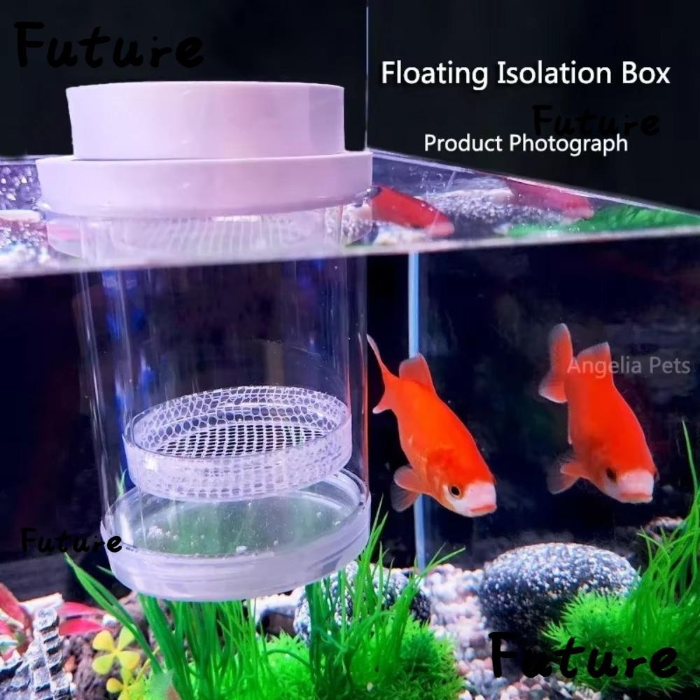 FUTURE Floating Fish Breeding Isolation Box, Shrimp Guppy Plastic Mesh ...