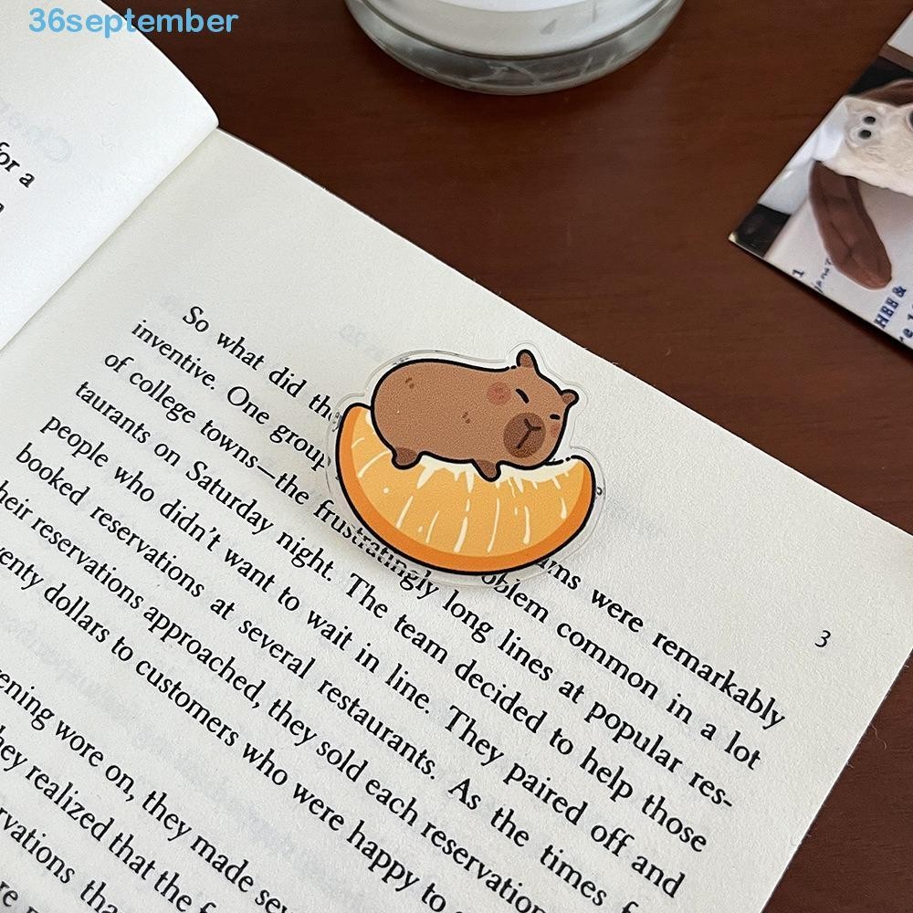 SEPTEMBER Acrylic Capybara Pin, Breastpin Cute Fruits Capybara Brooch ...