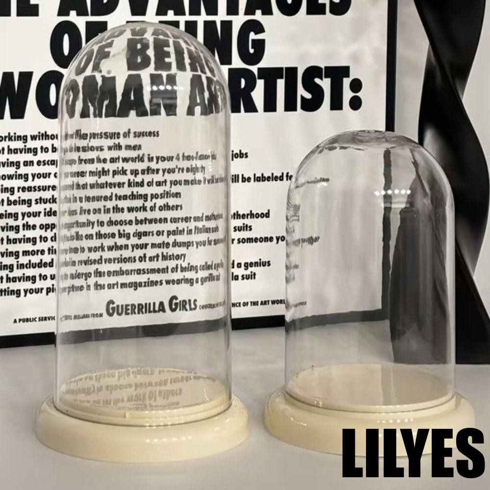 LILYES LABUBU Display Box, Diy Hand-made Transparent Labubu Doll ...