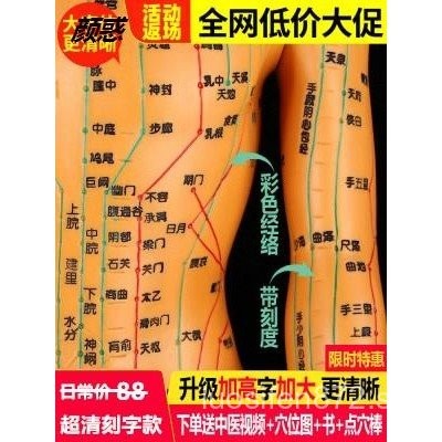 50cm Human Body Meridian Acupoint Model Copper Mannequin Acupuncture ...