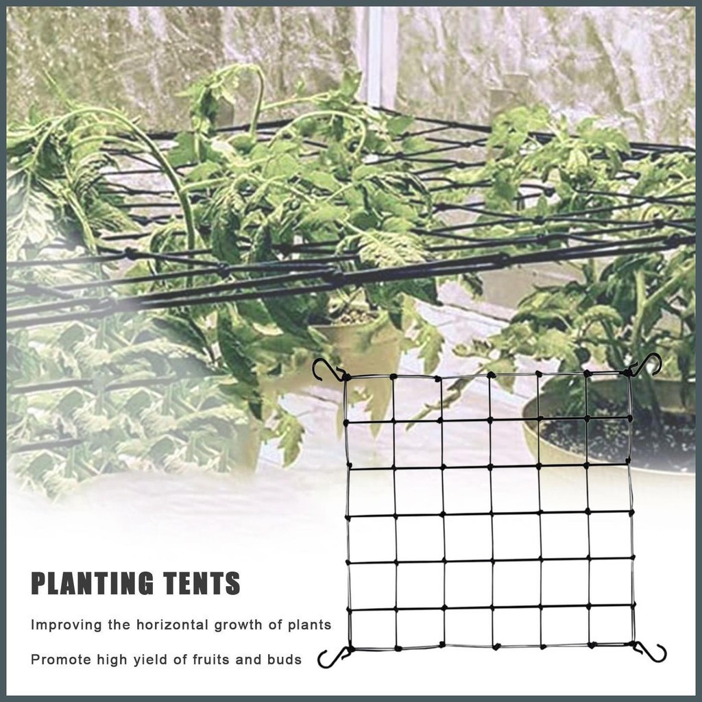 Grow Tent Trellis Netting Elastic Plant Net Trellis Netting with Hooks ...
