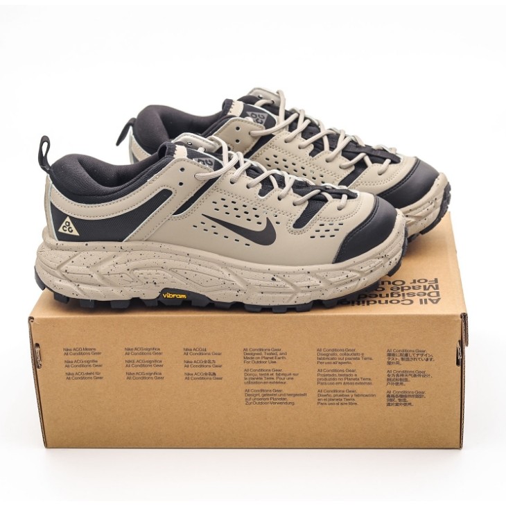 Nike ACG Mountain Fly Low GTX SE Functional Style | Shopee Singapore