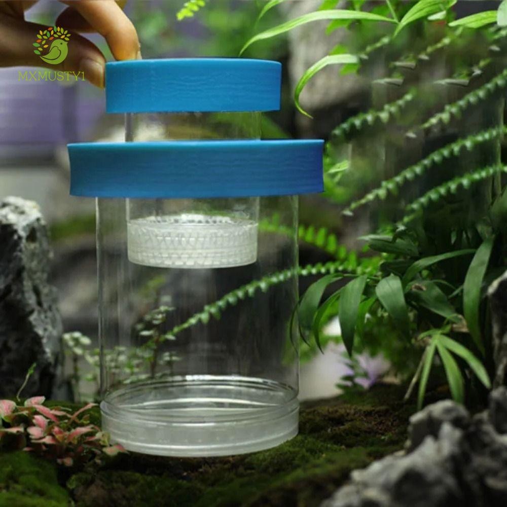 MXMUSTY1 Fish Breeding Isolation Box, Guppy Breeding Box Plastic ...