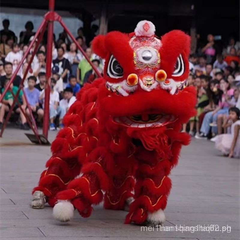 Lion Dance Double Adult Lion Dance Set Complete Set Dragon Dance Lion ...