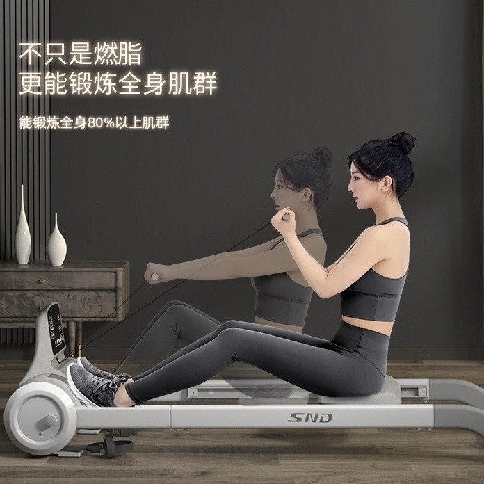 Schneider Ultra Fat-Burning Smart Magnetic Resistance Dual-Track Rowing ...