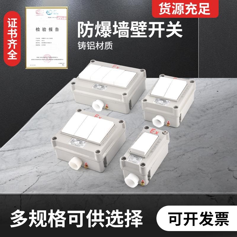 Explosion-Proof Wall Switch220V10A Open-Mounted Concealed86Single ...