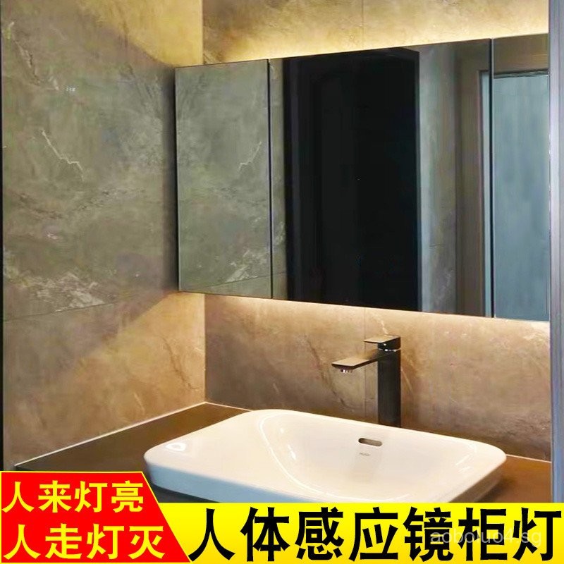 Bathroom Mirror Cabinet Light with Human Body Sensor and Smart ...