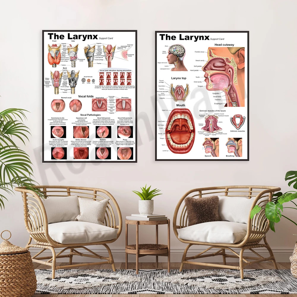 Laryngeal anatomy, voice pathology, vocal cords, extrinsic and ...