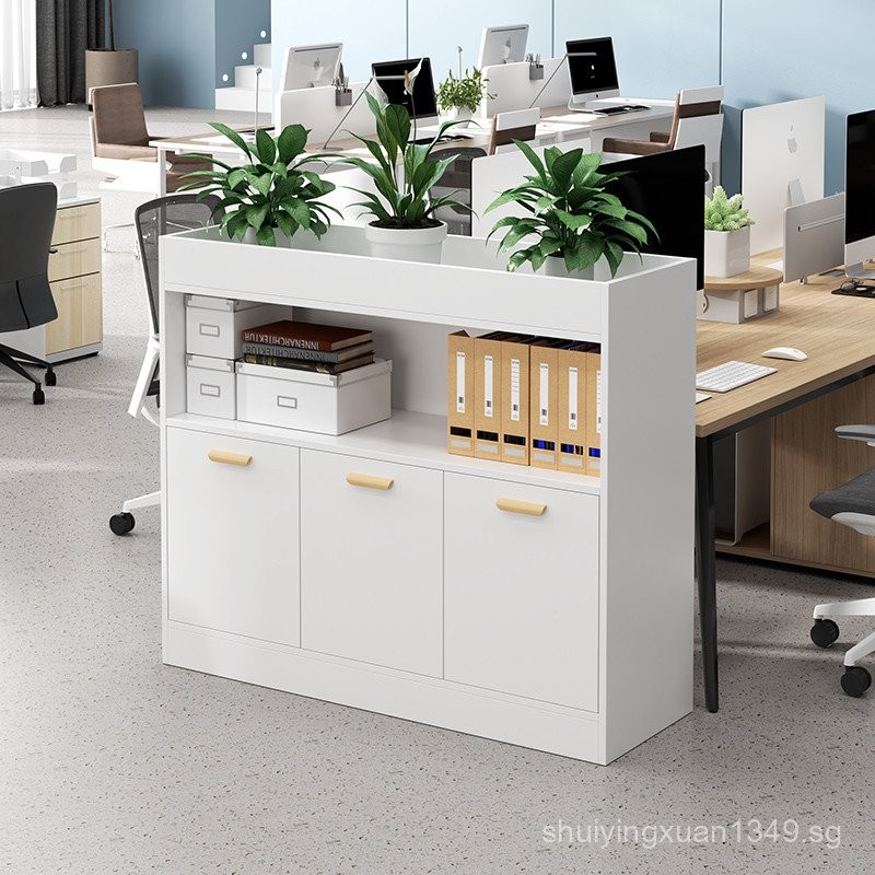 Office File Cabinet Partition Cabinet Storage Cabinet Document Storage ...