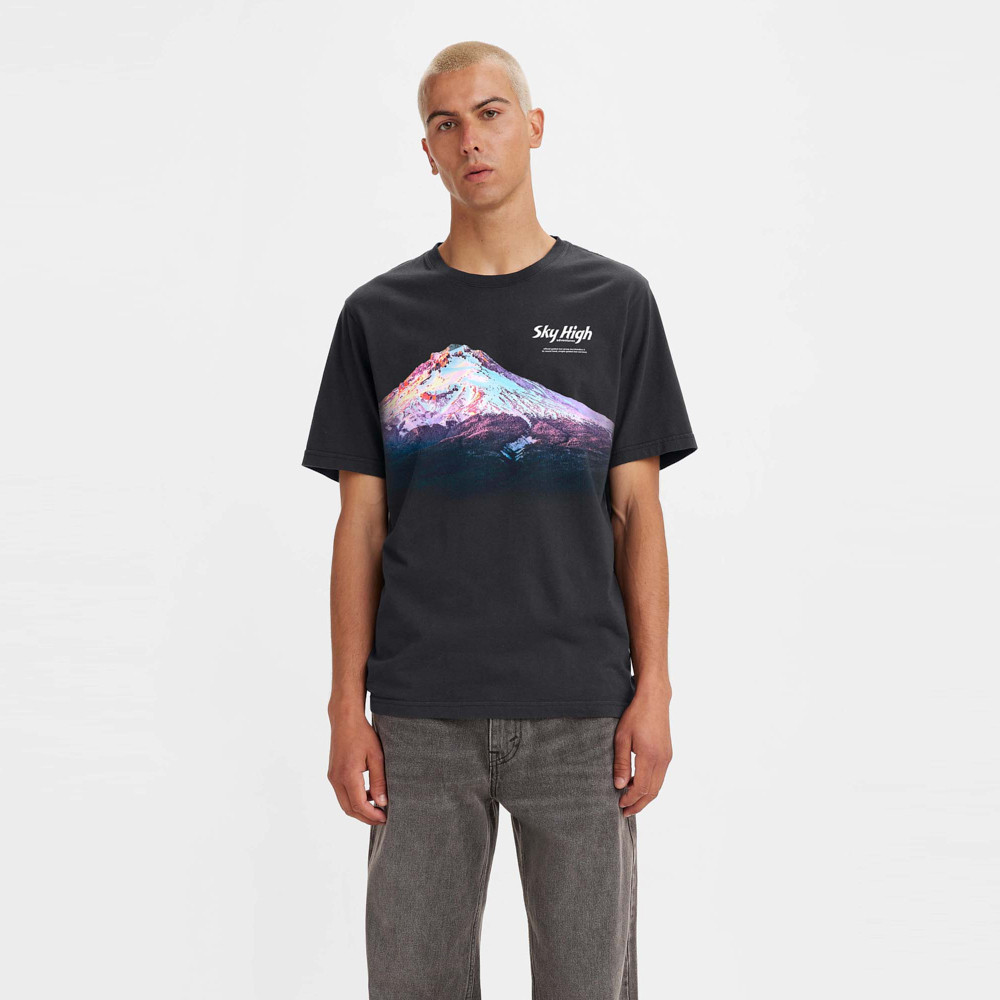 Levi's® Men's Relaxed Fit Short Sleeve Graphic T-Shirt 16143-0566 ...