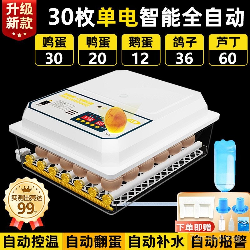 Fully Automatic Intelligent Incubator for Home Use, Small Chicken, Duck ...