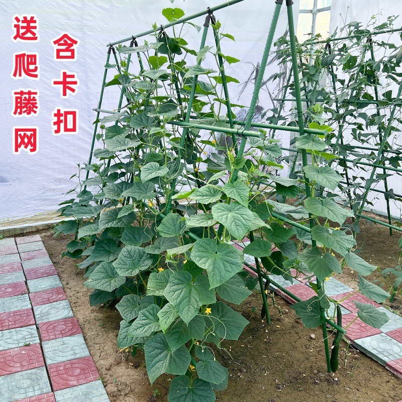 [48H Shipping] Cucumber Trellis Climbing Vine Rack Flower Stand Bean ...