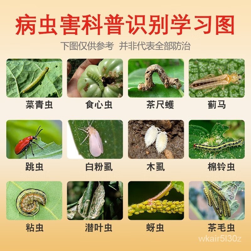 King of the Forest Efficient Cyhalothrin Insecticide Aphidoidea Aphids ...