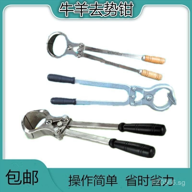 Castration Force Castrated Pig Stainless Steel Egg Forceps Veterinary ...