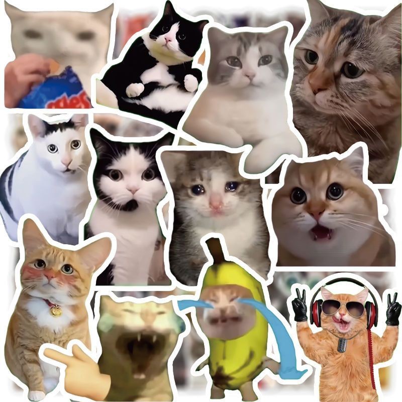 Mini Stickers Cat meme stickers, cute, funny, funny, silly, cat ...