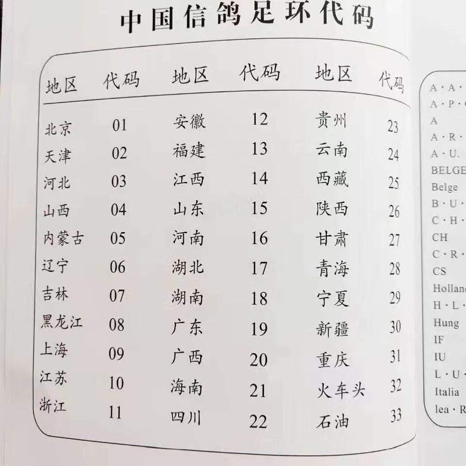Believe Pigeon Supplies Pigeon Planting Chinese Record Book Straight ...