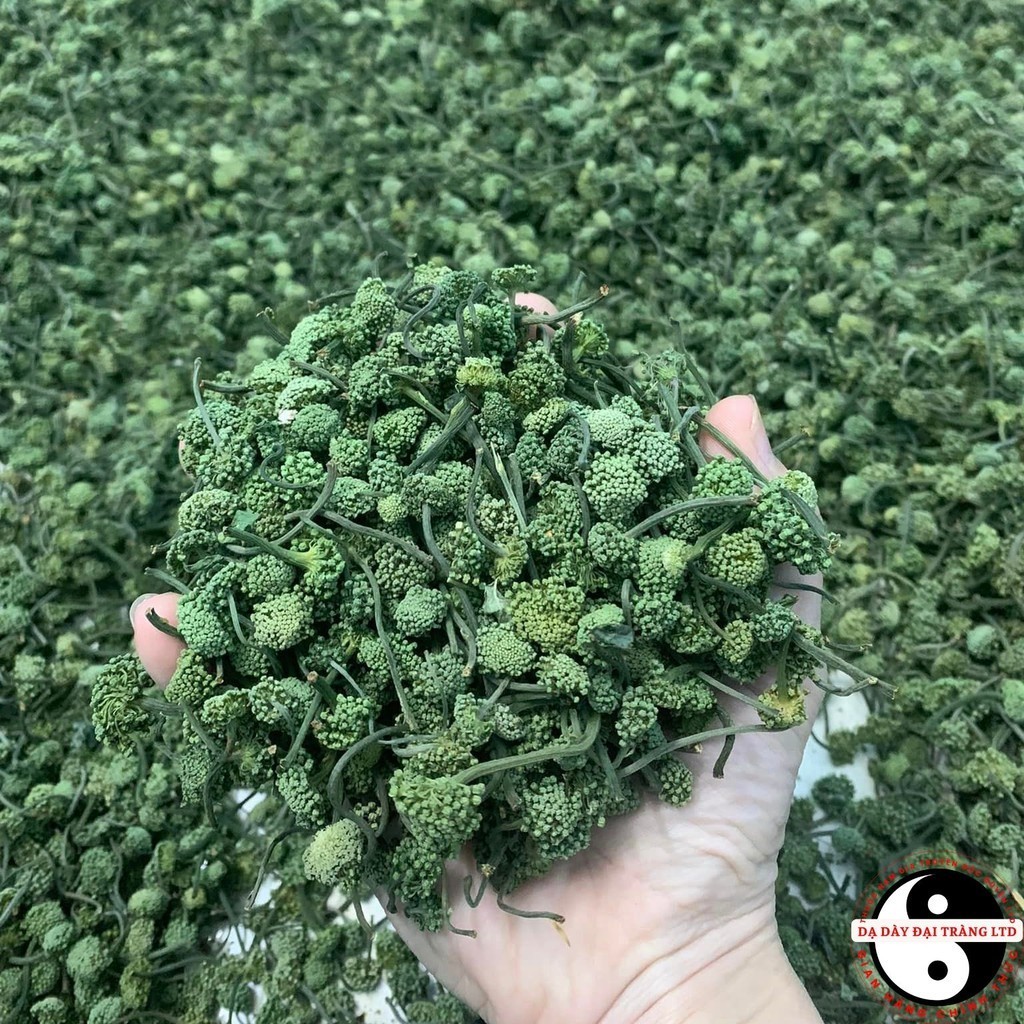 Dried Northwest Stomach Flower Bud Type 1 From Fresh Three Ventricle ...