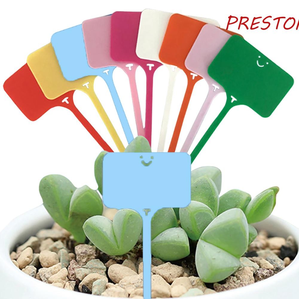 PRESTON Garden Labels Nursery Pots 100Pcs Sign Board Sorting Greenhouse ...