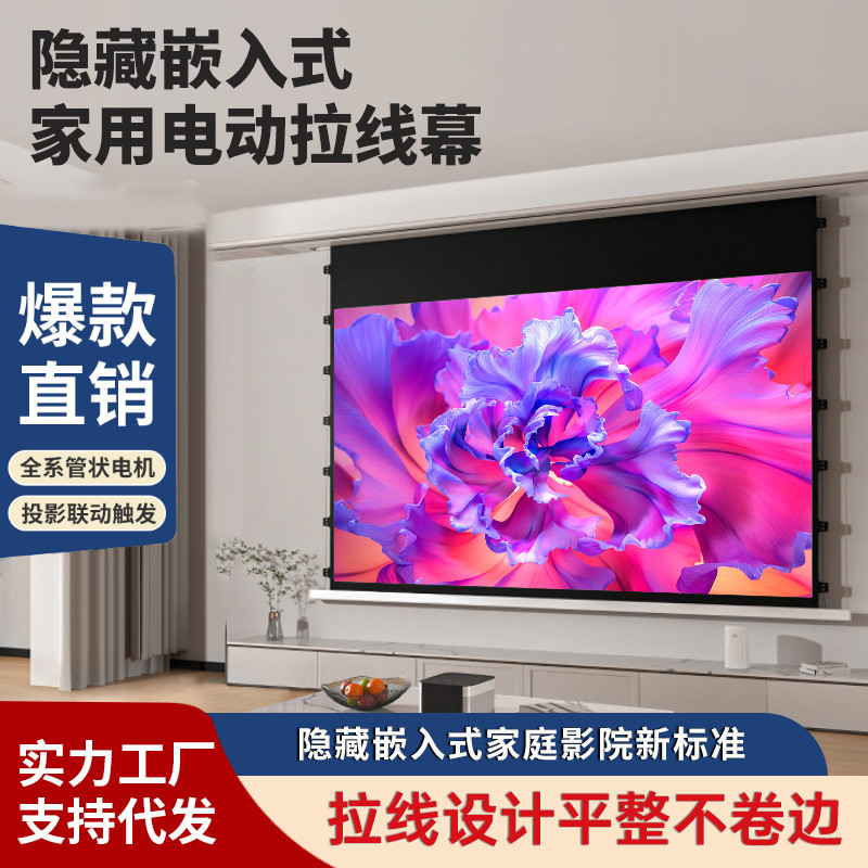 Hidden Projection Ceiling Screen Electric Lift Home Voice Control ...