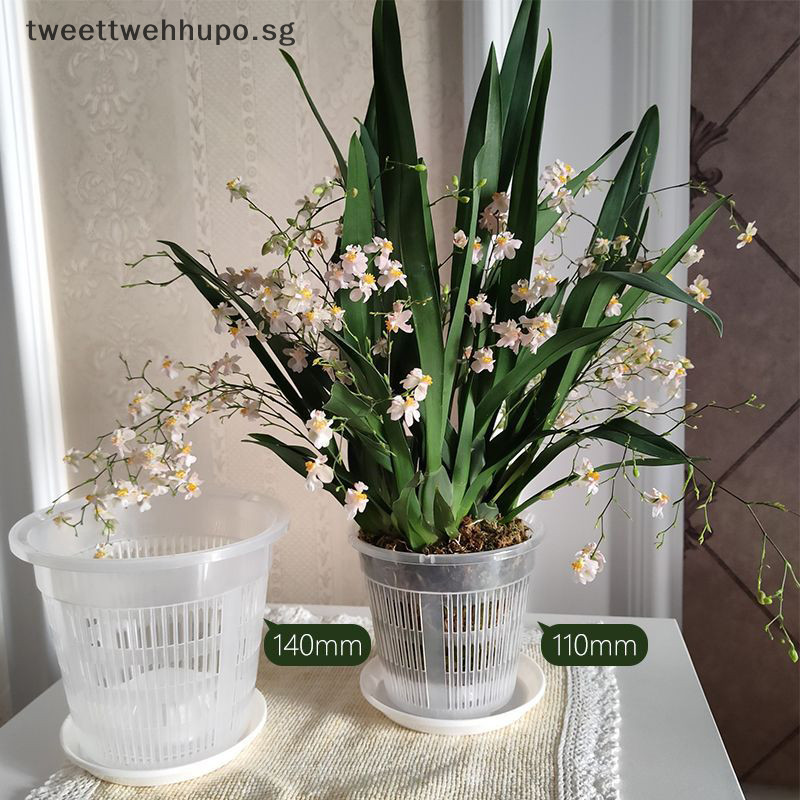 TWE 11/14cm Mesh Pot Root Control Transparent Flowerpot For Orchid ...