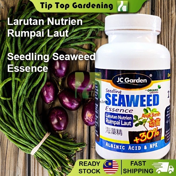 100g Larutan Nutrien Rumpai Laut Baja Rumput Laut JC Garden Seaweed ...