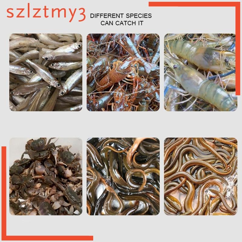 [szlztmy3] Catching Net River Prawn Eel Catcher for Freshwater Rivers ...