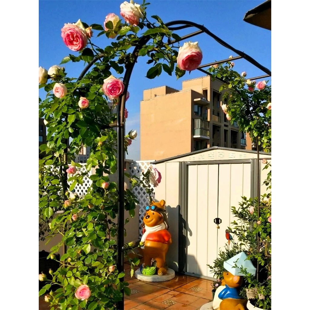 Wrought Iron Arch Flower Stand Climbing Vine Rack Grape Vine Rack ...