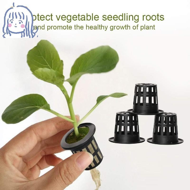 Hydroponic Pot 20 Set Cylindrical Plastic Vegetable Cultivation Plant ...