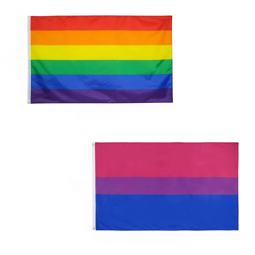 Large Rainbow Progress Pride Flag Lesbian Gay Bisexual LGBT Flags Banner with Grommets to Show ...