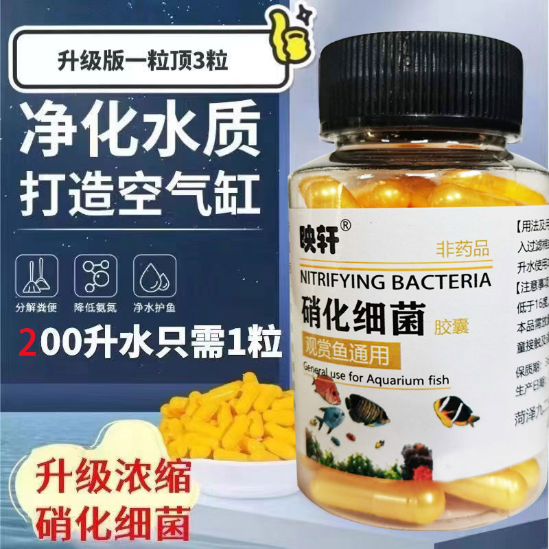 Nitrifying Bacteria Capsules Fish Tank Remove Fishy Odor Purify Water ...