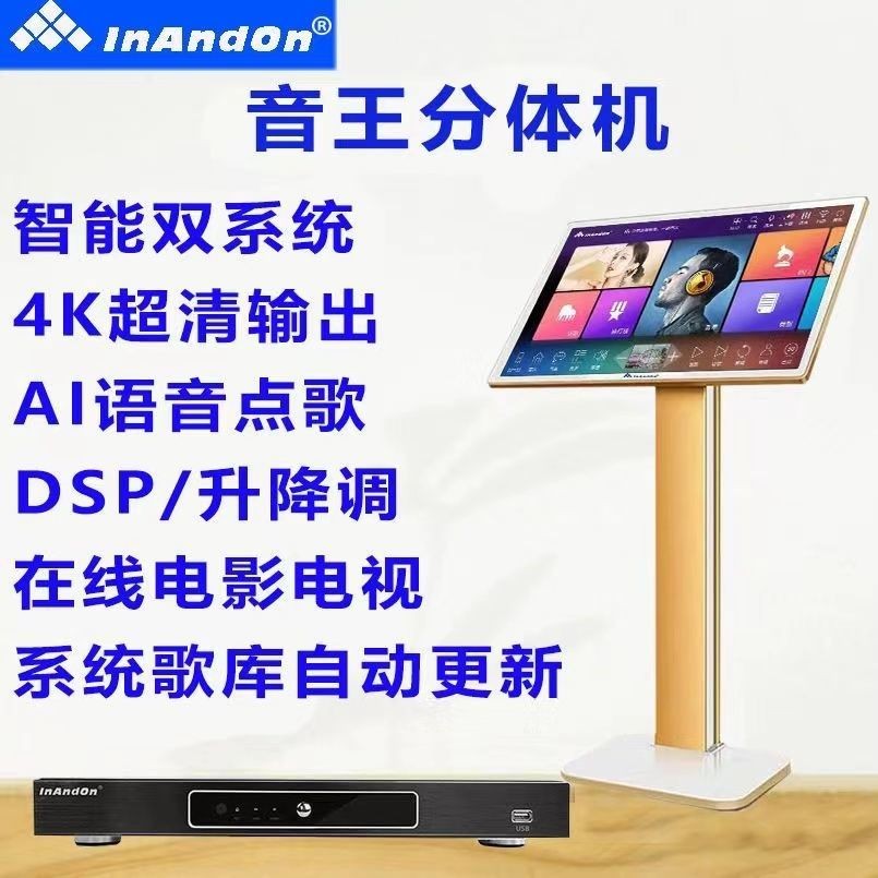 Sound King New KV-V503Split K Home Karaoke Singing Pointing Device KTV ...