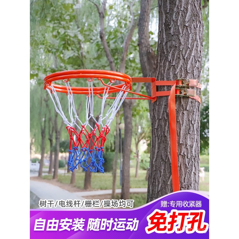 Basketball Hoop No Drilling Adult Standard Rim Children Wall-Mounted ...