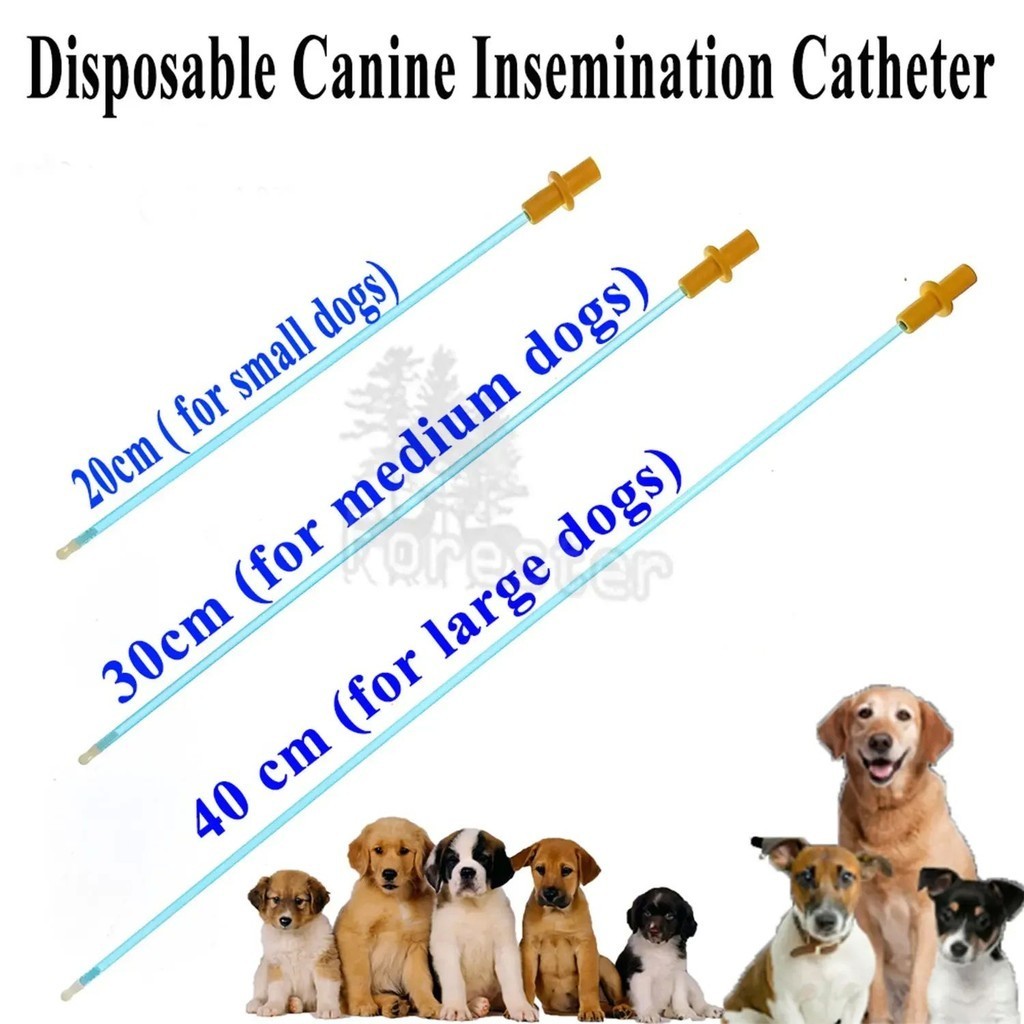 10Pcs Disposable Artificial Insemination Tube Catheter Plastic Semen ...