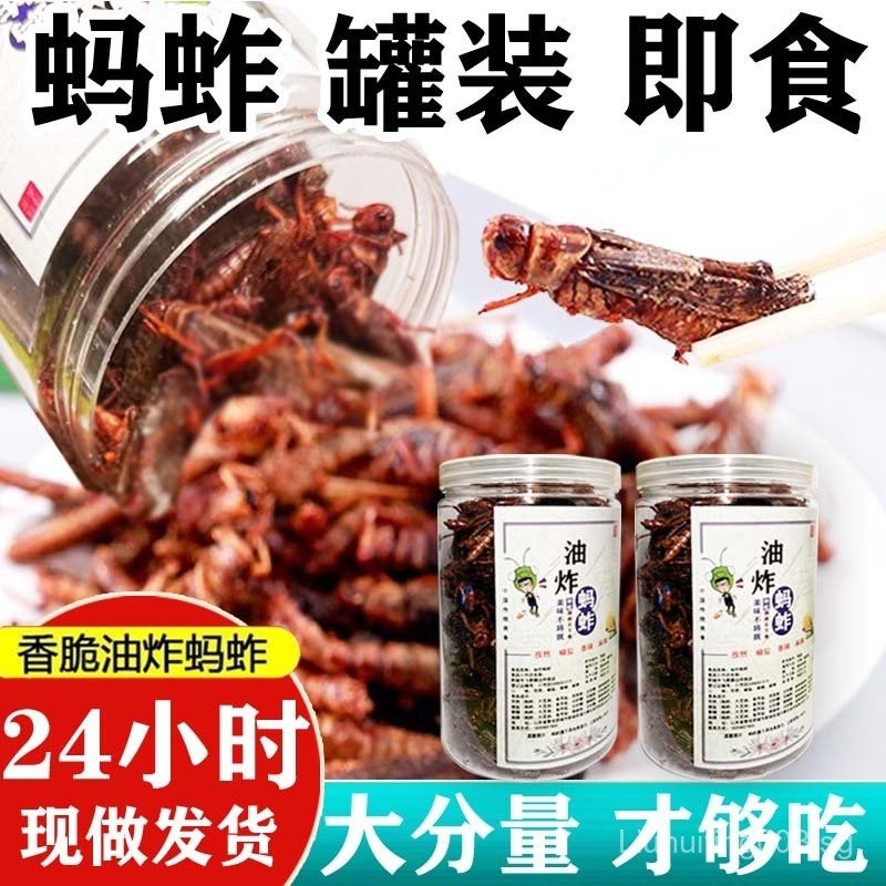 Freshly Fried Grasshoppers Ready-to-Eat Snack for Drinks Canned Spicy ...