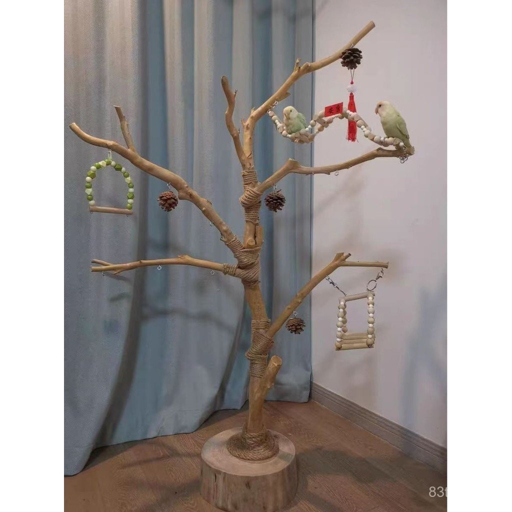 Bird Stand Natural Branch Tree Rod Parrot Stand Tree Trunk Log Stand ...
