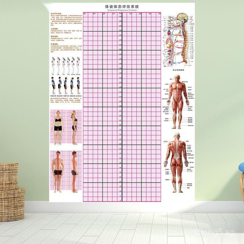 Posture Assessment Chart Wall Sticker Yoga Studio Posture System Form ...