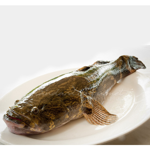 [Catch Seafood] Marble Goby (Soon Hock) | Shopee Singapore