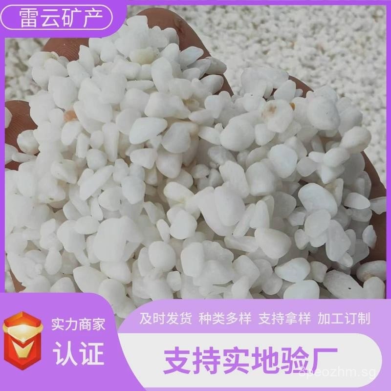 Terrazzo White Washed Stone Garden Landscape Scattered White Pebble ...