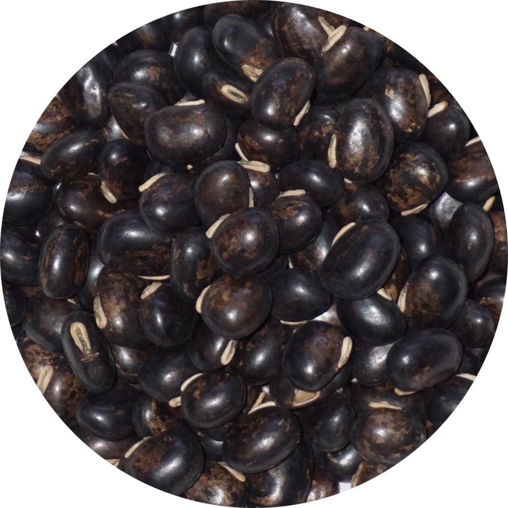 Velvet bean, also known as Mucuna pruriens or Yokohama bean, is a type ...