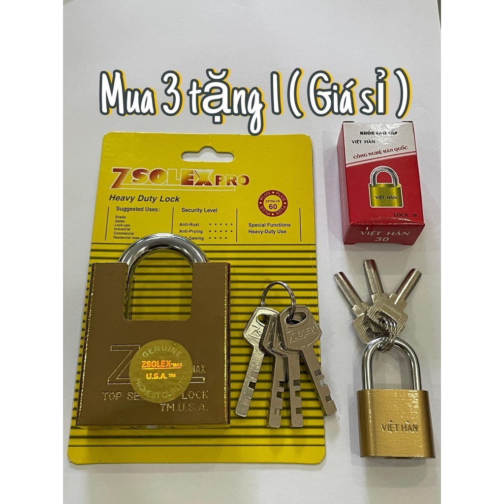 Zsolex ProMax large 60mm anti-theft and anti-cut lock specialized for ...
