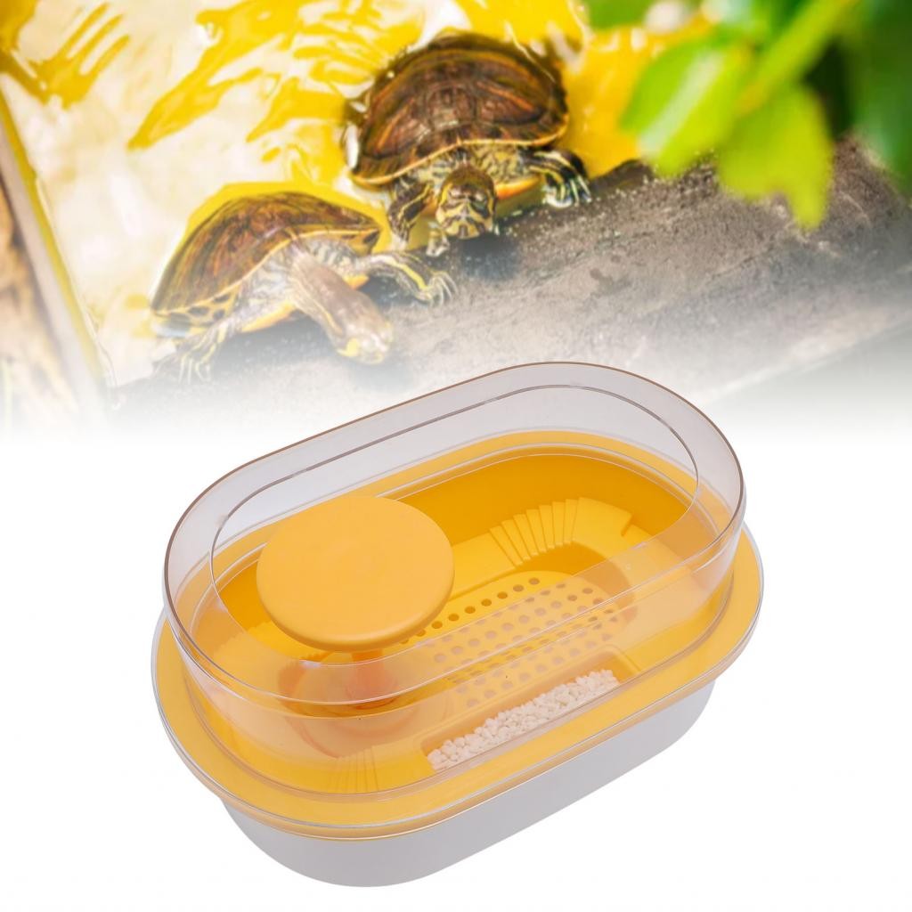 Seashorehouse Mini Reptile Terrarium Aquarium Terrapin Lake with Plants ...